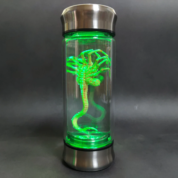 Alien specimen decorated glass jar – ffmetro
