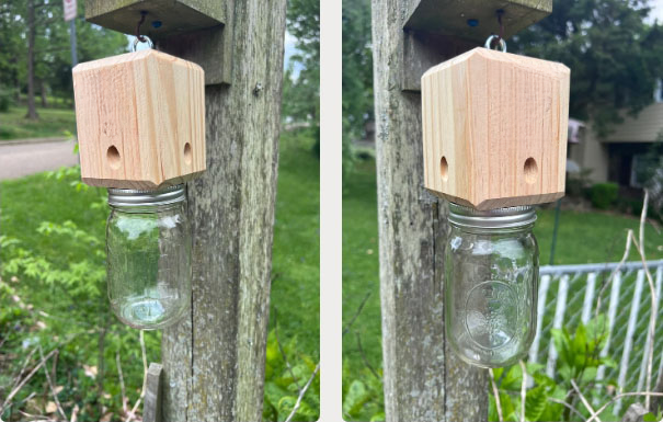 Carpenter Bee Trap – ffmetro