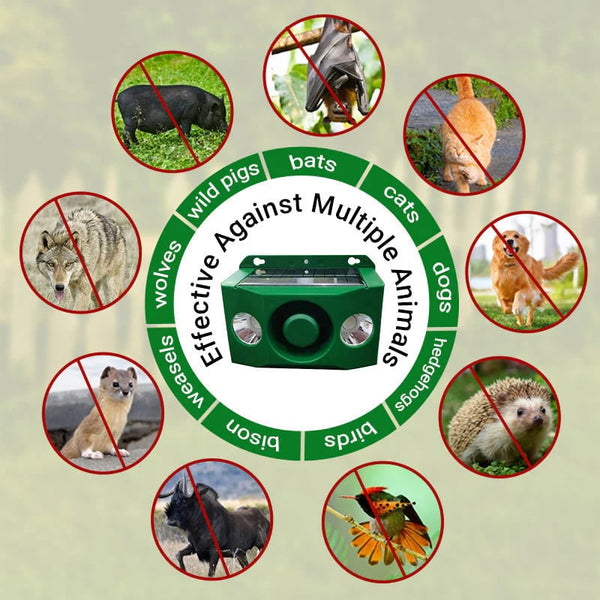 High volume solar warning lights to deter predators – ffmetro