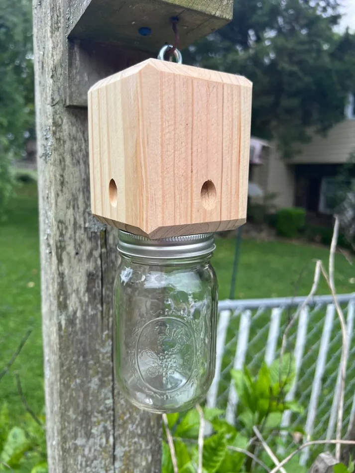 Carpenter Bee Trap – ffmetro