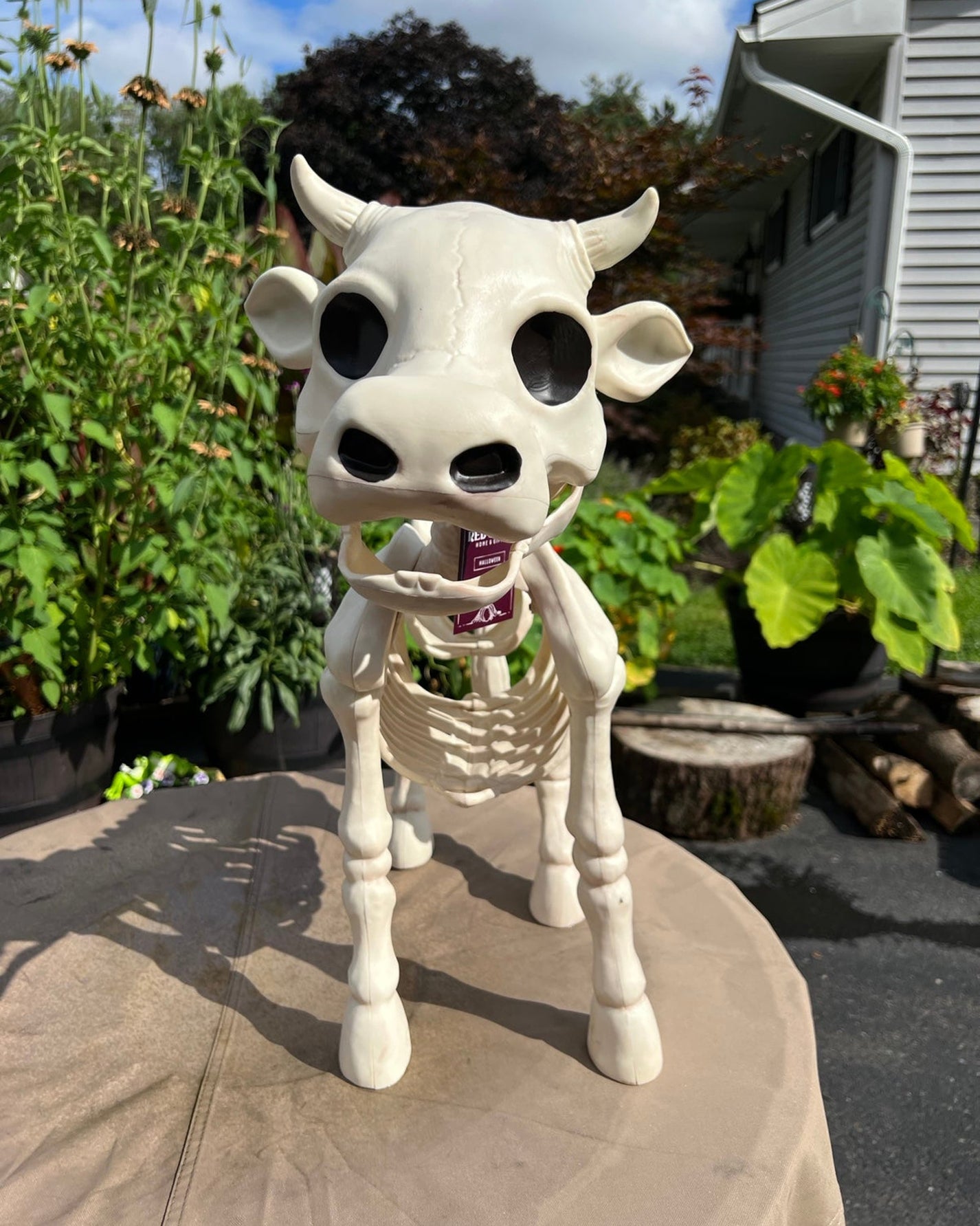 Cow & Horse Skeleton Halloween Decorative Prop – ffmetro