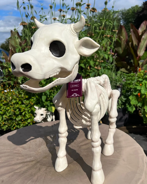 Cow & Horse Skeleton Halloween Decorative Prop – ffmetro